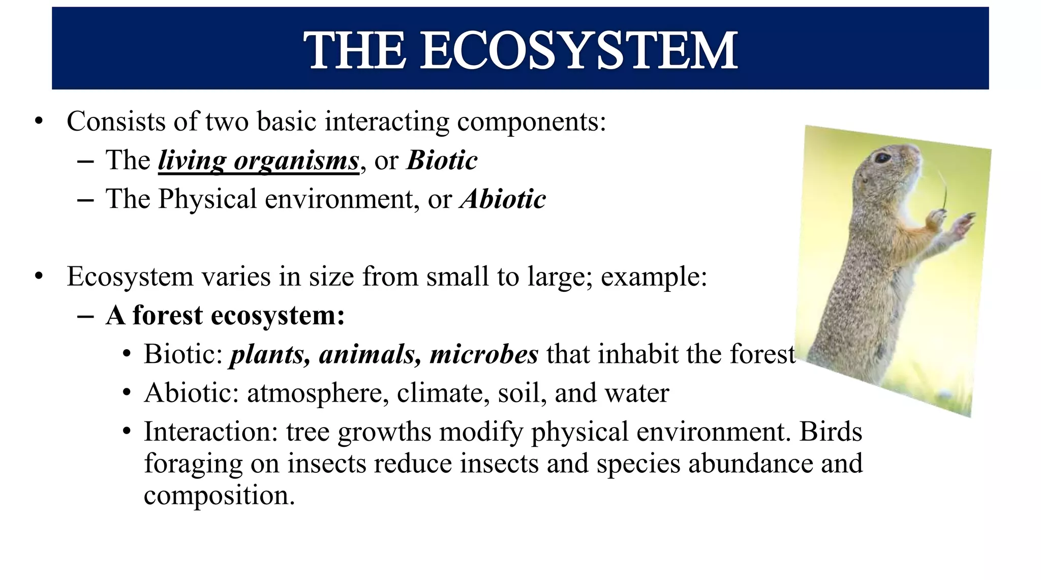 Ecology 407 Organism and their Interaction with their environment | PPTX