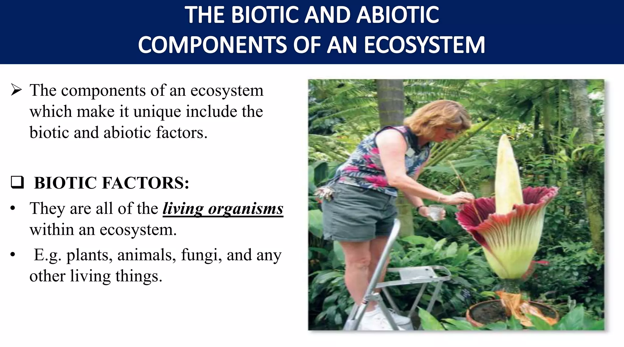 Ecology 407 Organism and their Interaction with their environment | PPTX