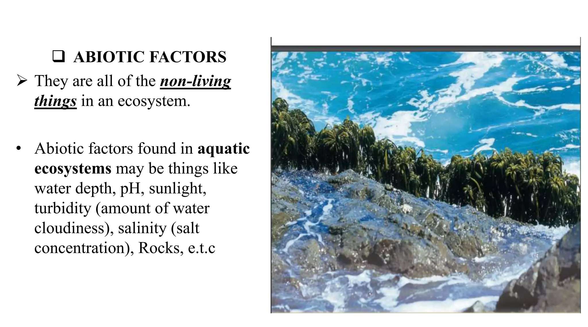 Ecology 407 Organism and their Interaction with their environment | PPTX