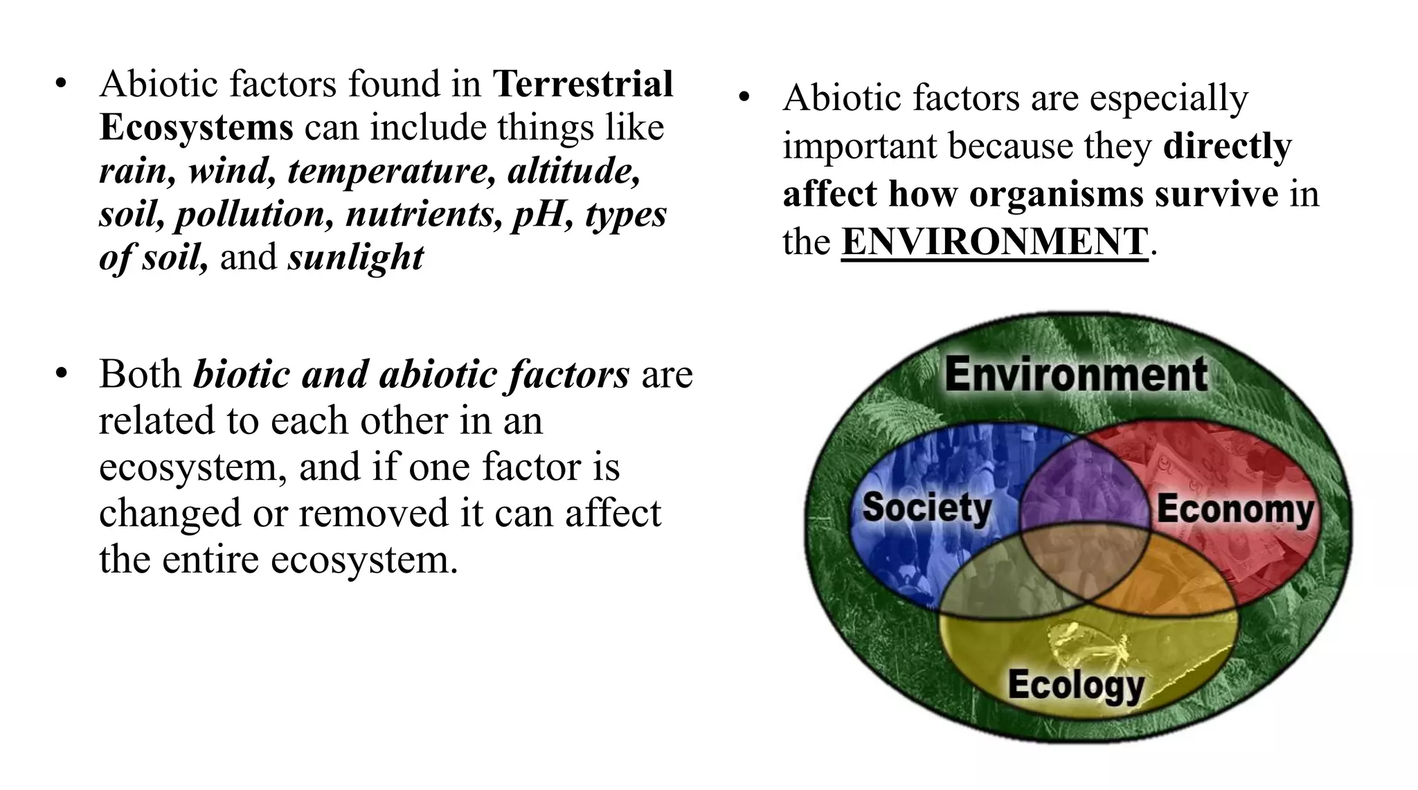 Ecology 407 Organism and their Interaction with their environment | PPTX