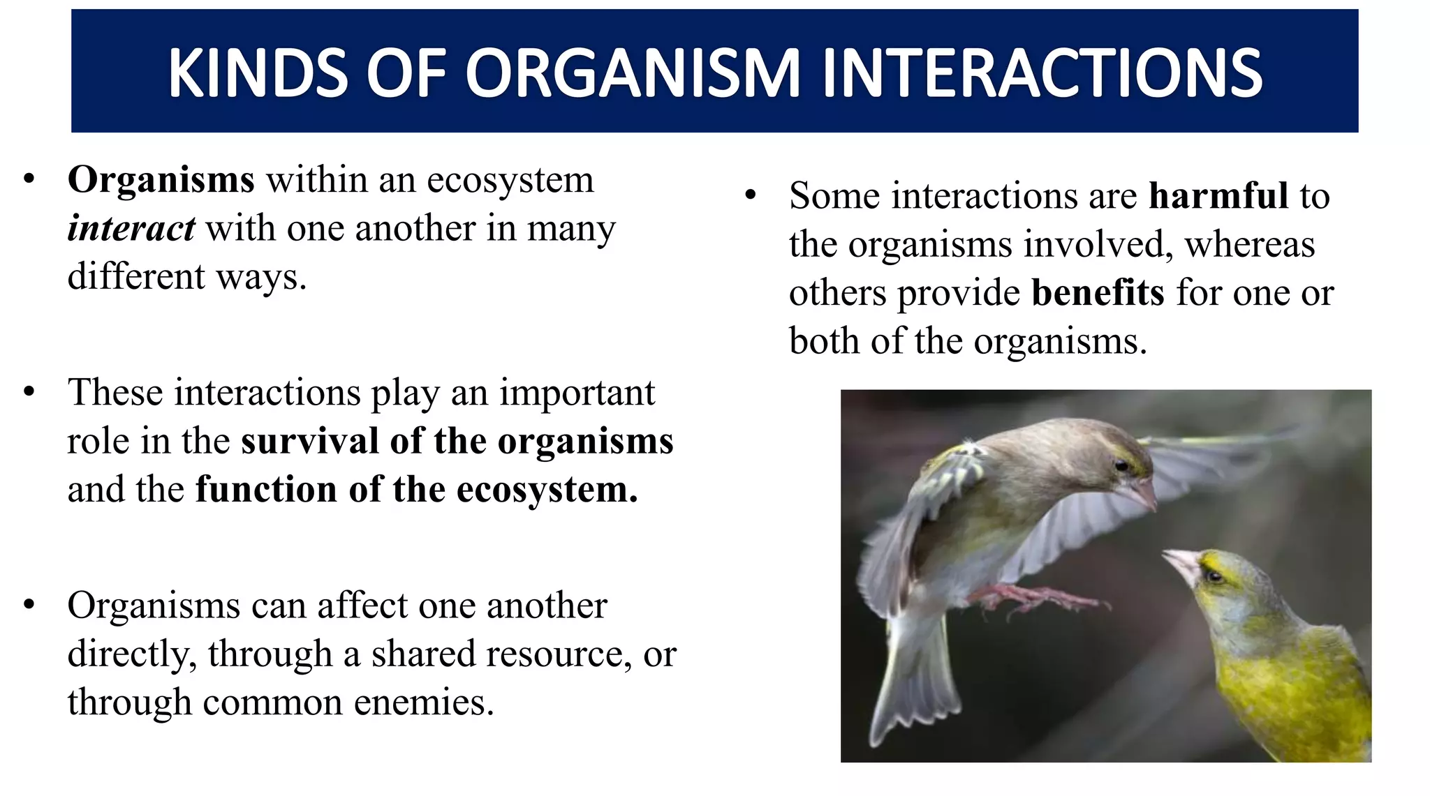 Ecology 407 Organism and their Interaction with their environment | PPTX