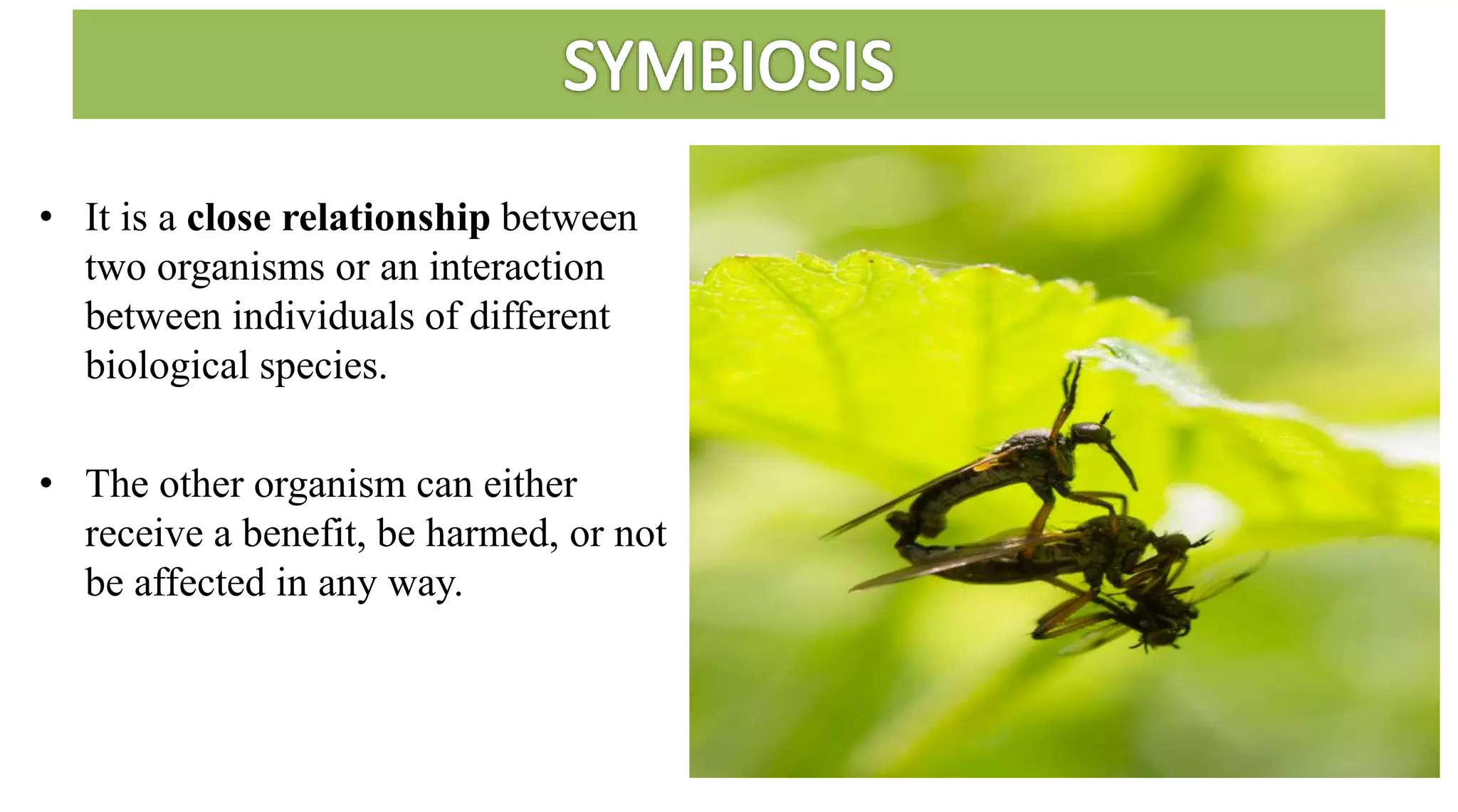 Ecology 407 Organism and their Interaction with their environment | PPTX
