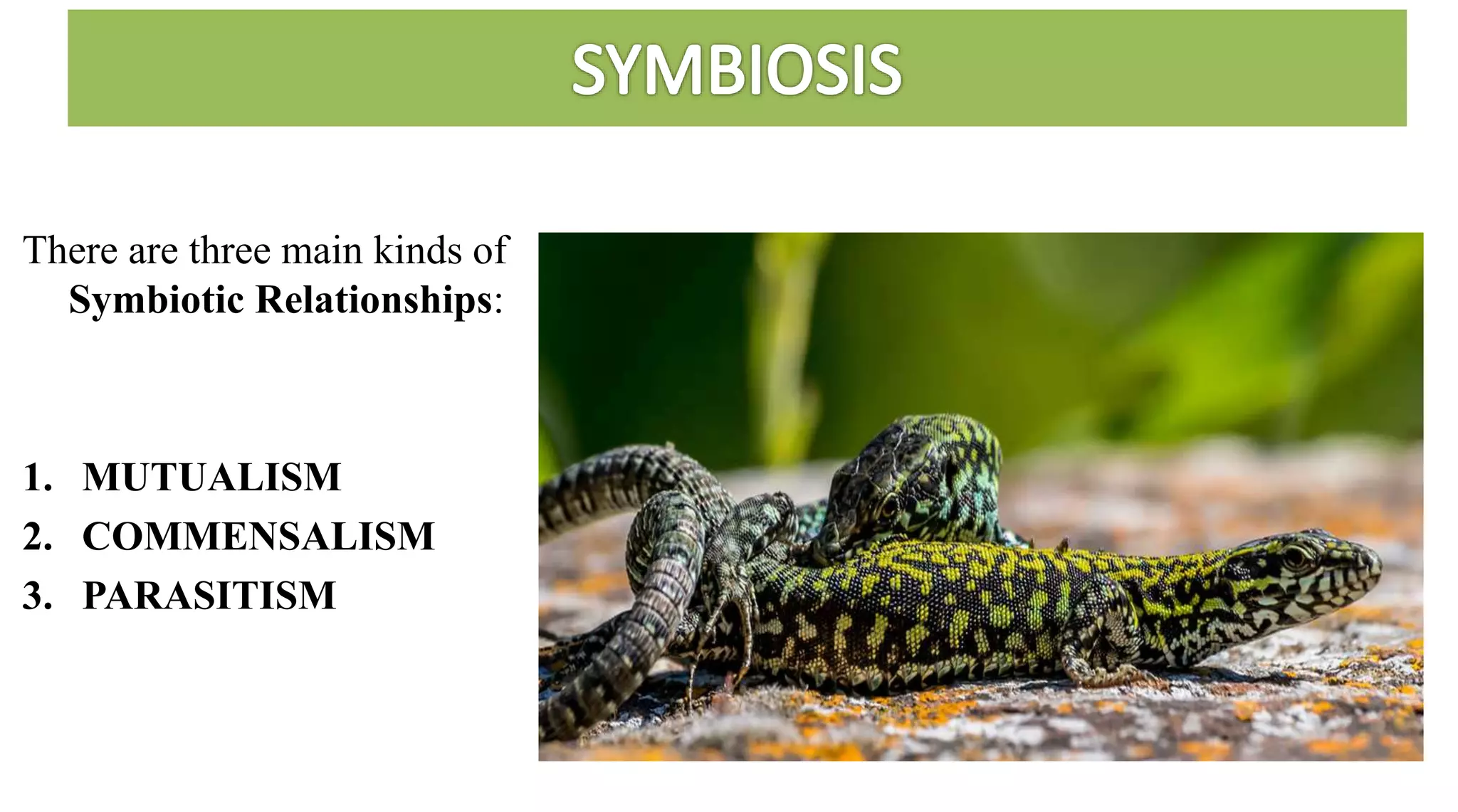 Ecology 407 Organism and their Interaction with their environment | PPTX