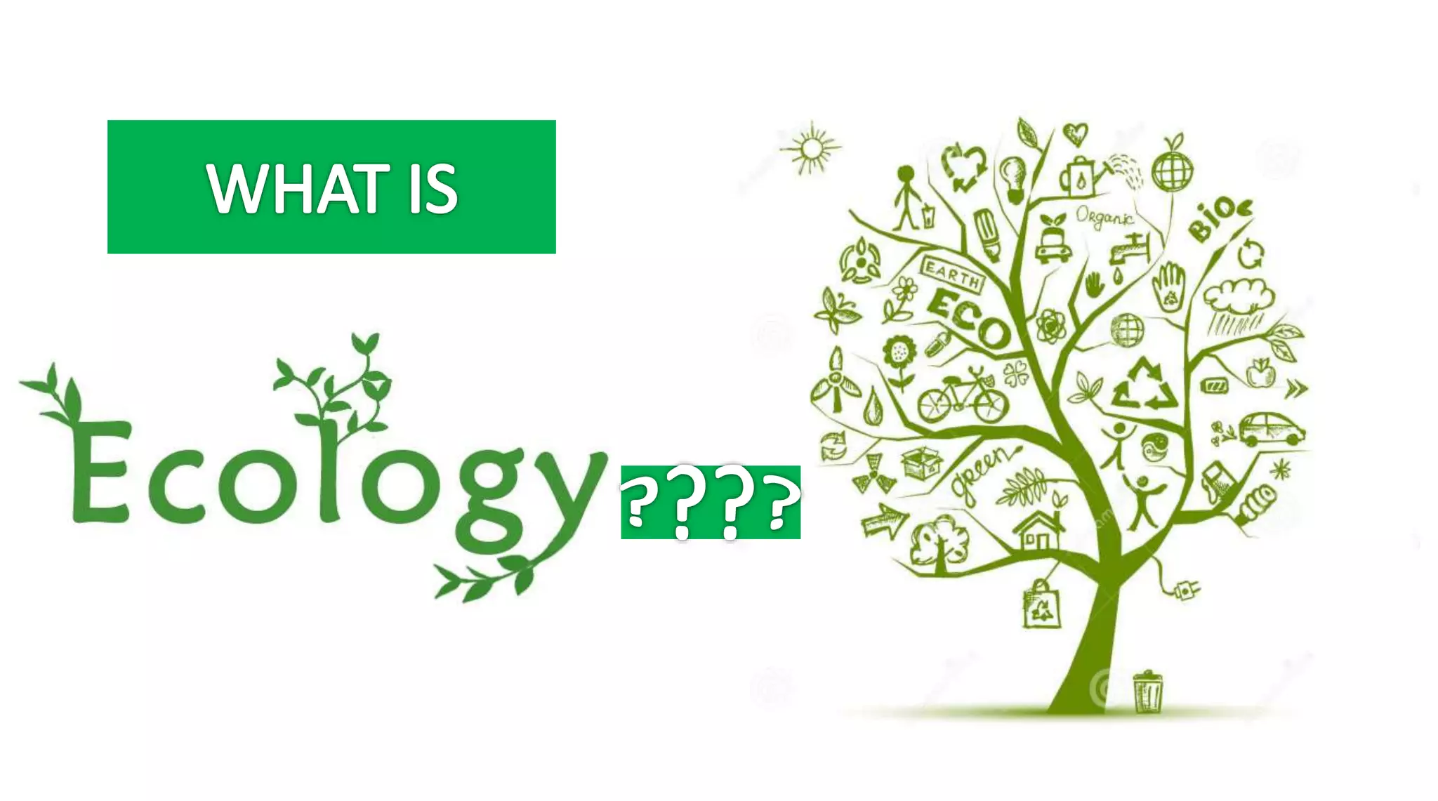 Ecology 407 Organism and their Interaction with their environment | PPTX