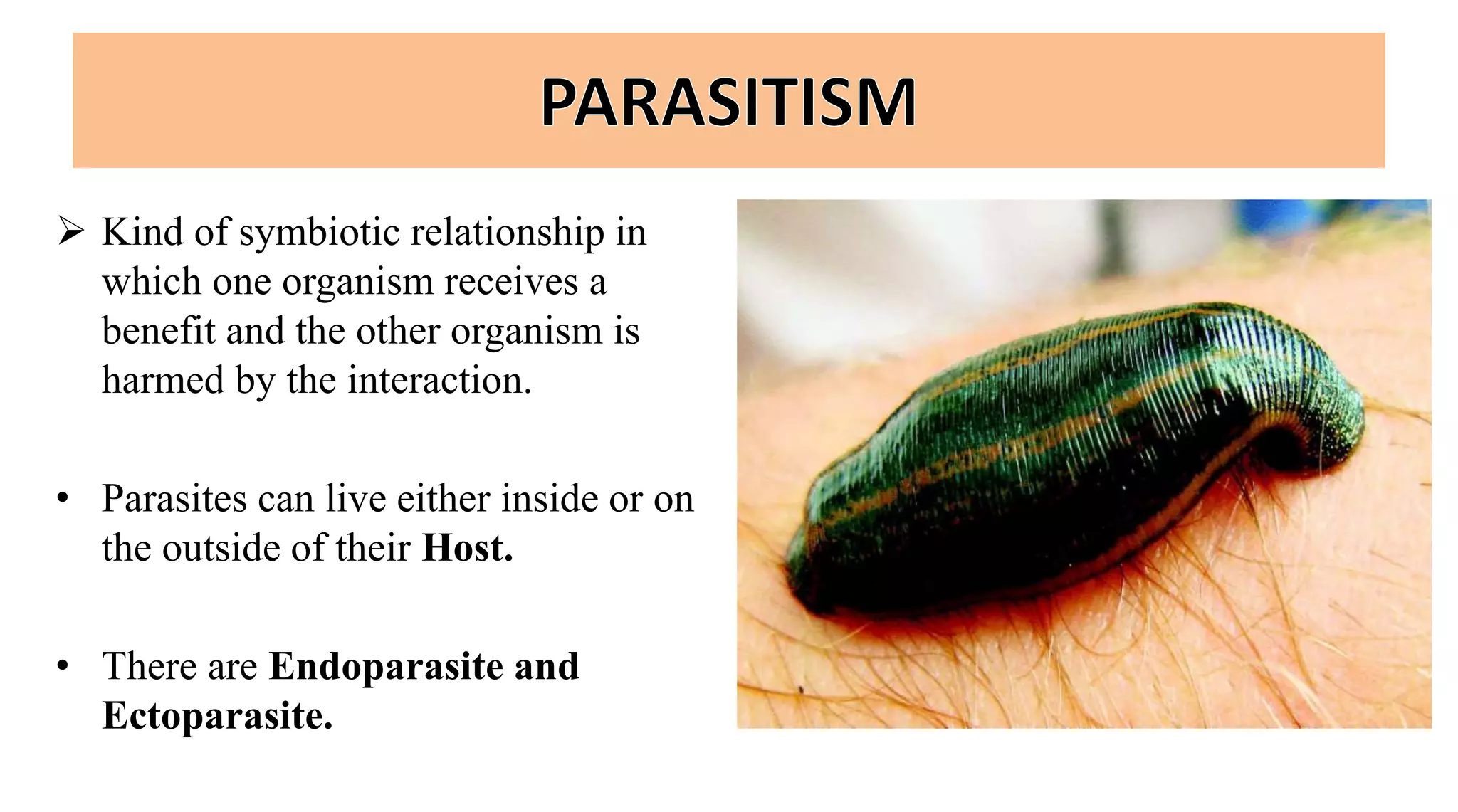 Ecology 407 Organism and their Interaction with their environment | PPTX