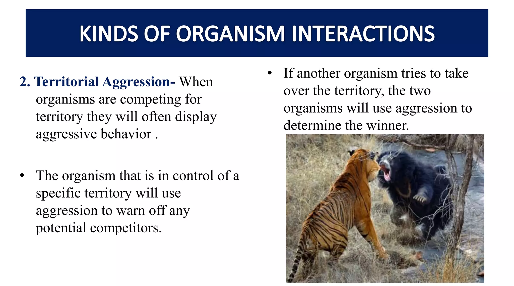 Ecology 407 Organism and their Interaction with their environment | PPTX