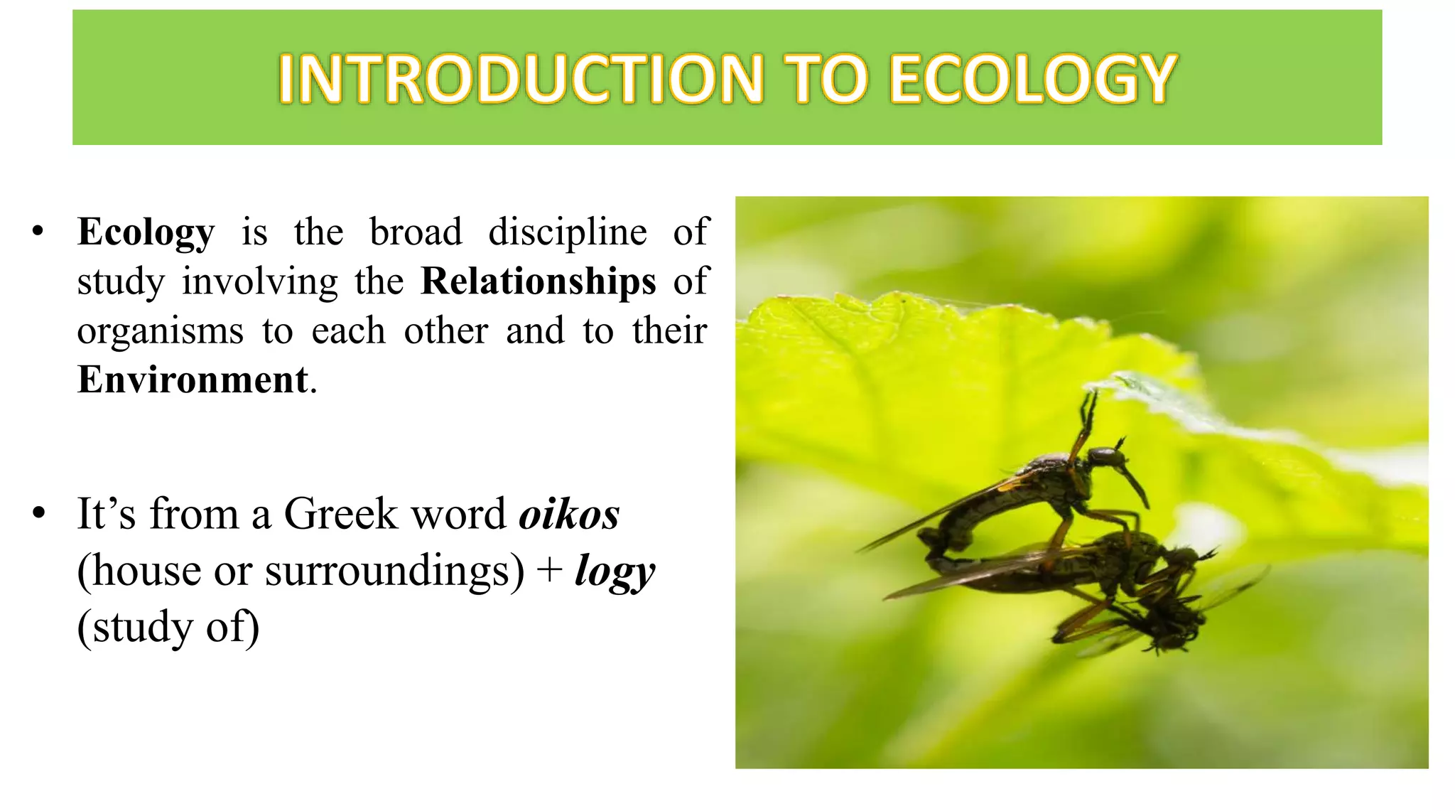 Ecology 407 Organism and their Interaction with their environment | PPTX