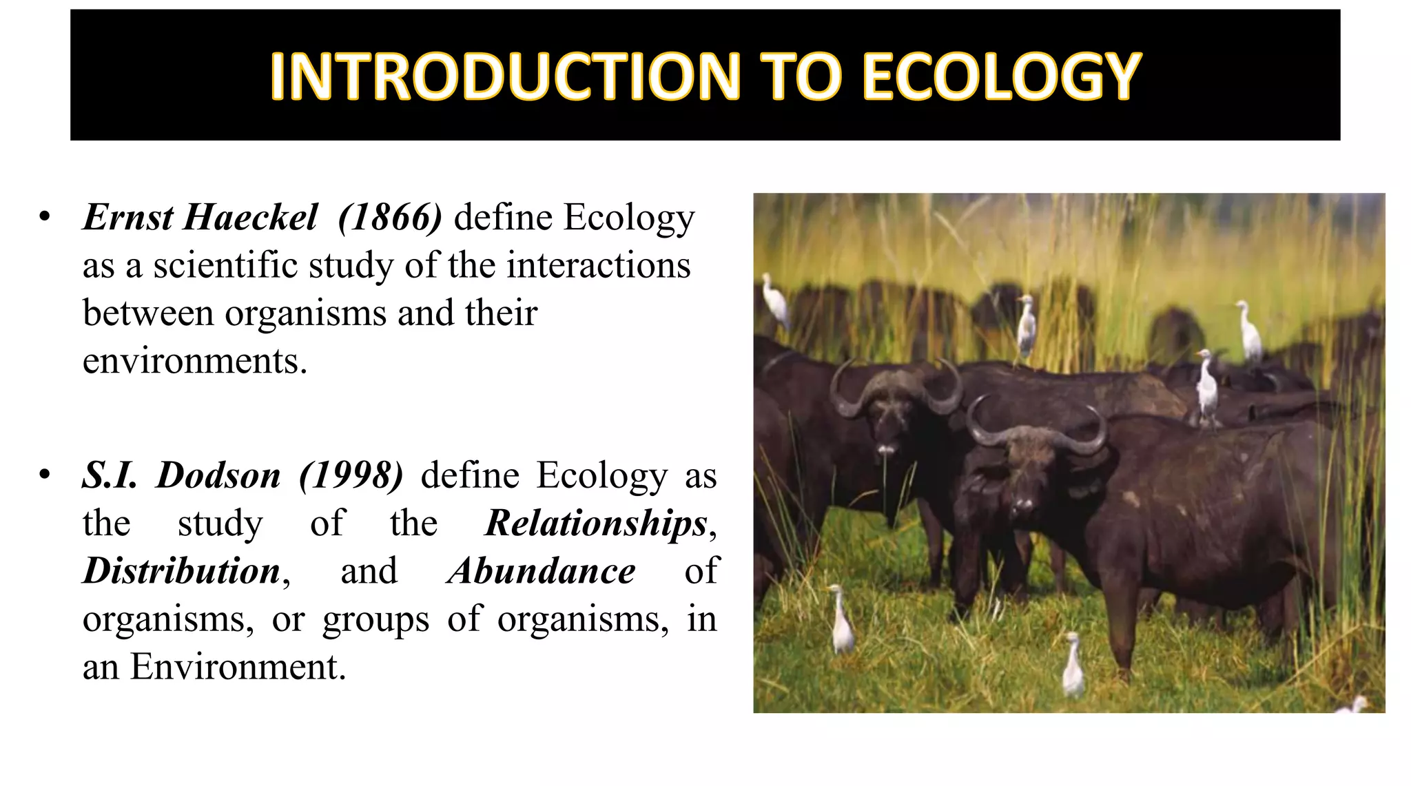Ecology 407 Organism and their Interaction with their environment | PPTX