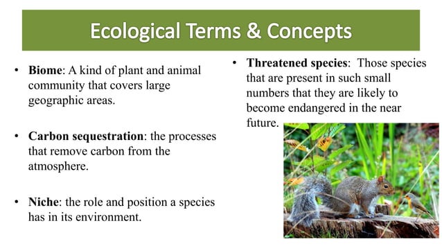 Ecology 407 Organism and their Interaction with their environment ...