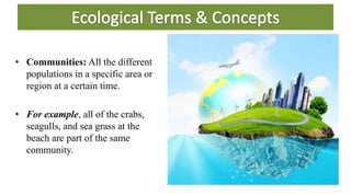 Ecology 407 Organism and their Interaction with their environment | PPTX