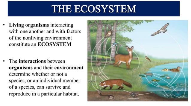 Ecology 407 Organism and their Interaction with their environment ...