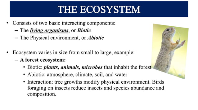 Ecology 407 Organism and their Interaction with their environment ...