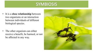 Ecology 407 Organism and their Interaction with their environment | PPTX