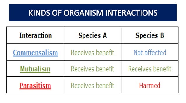 Ecology 407 Organism and their Interaction with their environment ...