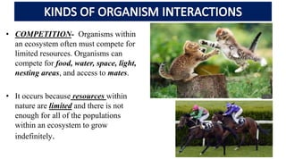 Ecology 407 Organism and their Interaction with their environment | PPTX