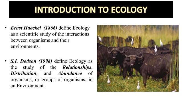 Ecology 407 Organism and their Interaction with their environment ...