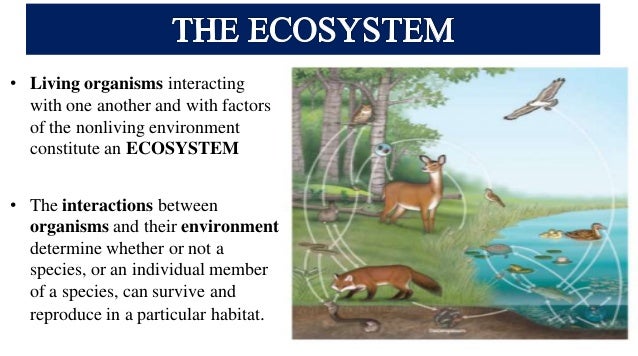 Ecology 407 Organism and their Interaction with their environment