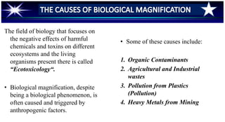 Ecology 407 2018 lecture 2 biological magnification | PPT