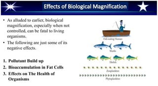 Ecology 407 2018 lecture 2 biological magnification | PPTX