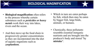 Ecology 407 2018 lecture 2 biological magnification | PPT