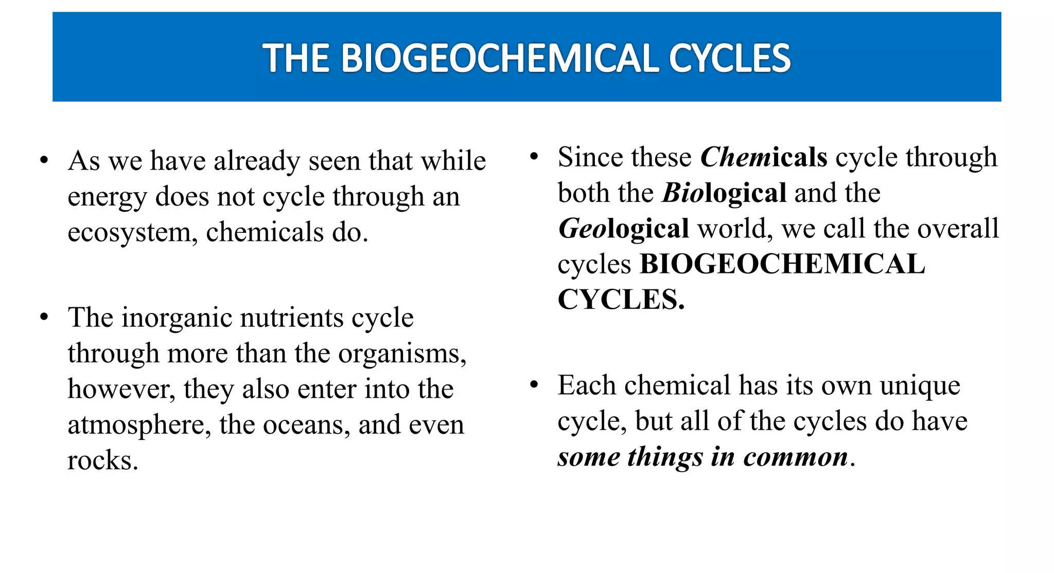Ecology 407 Biogeochemical Cycles | PPTX
