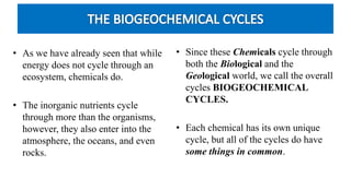 Ecology 407 Biogeochemical Cycles | PPTX