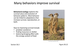 Ecology and animal behavior | PPTX