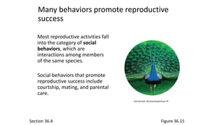 Ecology and animal behavior | PPTX