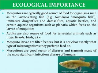 Ecology and control of mosquito | PPTX