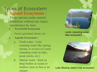 Ecologyandecosystem 141103053114-conversion-gate02 | PPT