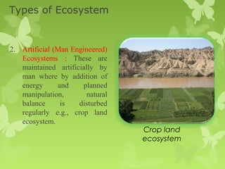 Ecologyandecosystem 141103053114-conversion-gate02 | PPT