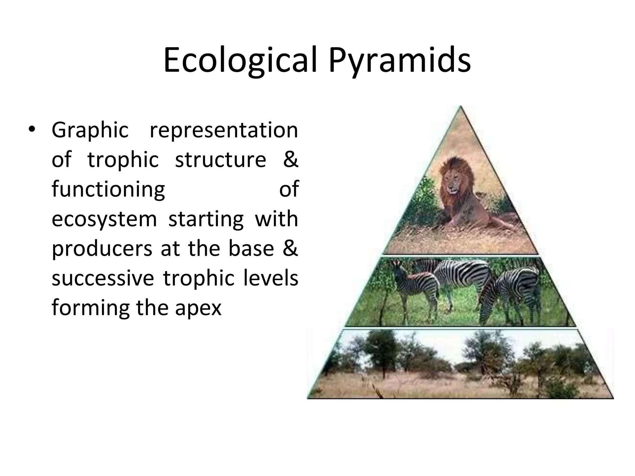 ecologyandecosystem-141103053114-conversion-gate02.pptx
