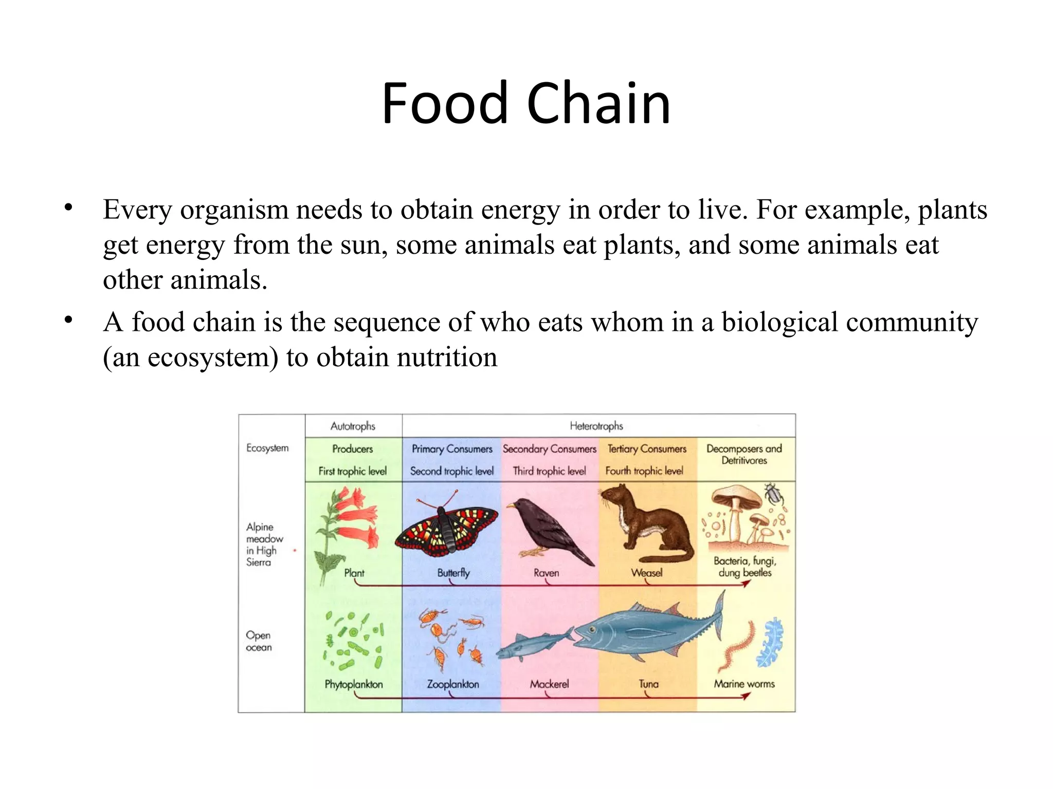 Ecology and ecosystem | PPT