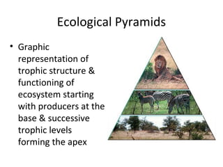 Ecology and ecosystem | PPT