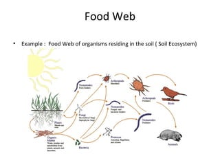 Ecology and ecosystem | PPT