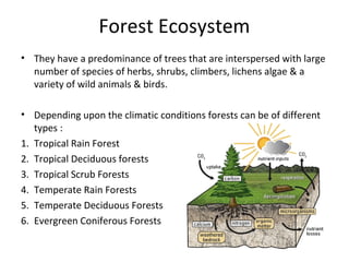 Ecology and ecosystem | PPT