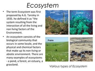 Examples Of Ecosystems
