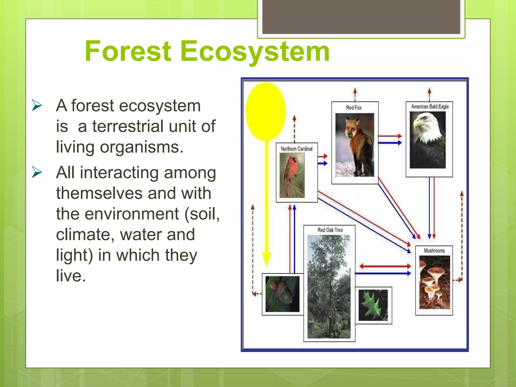 Ecology and ecosystem | PPT