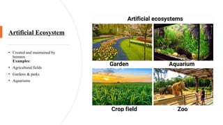 Ecology- Importance and types of ecosystem.pptx
