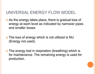 Ecology and ecosystem ii | PPT