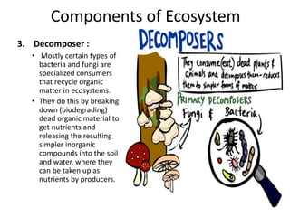 Ecology and ecosystem new | PPTX