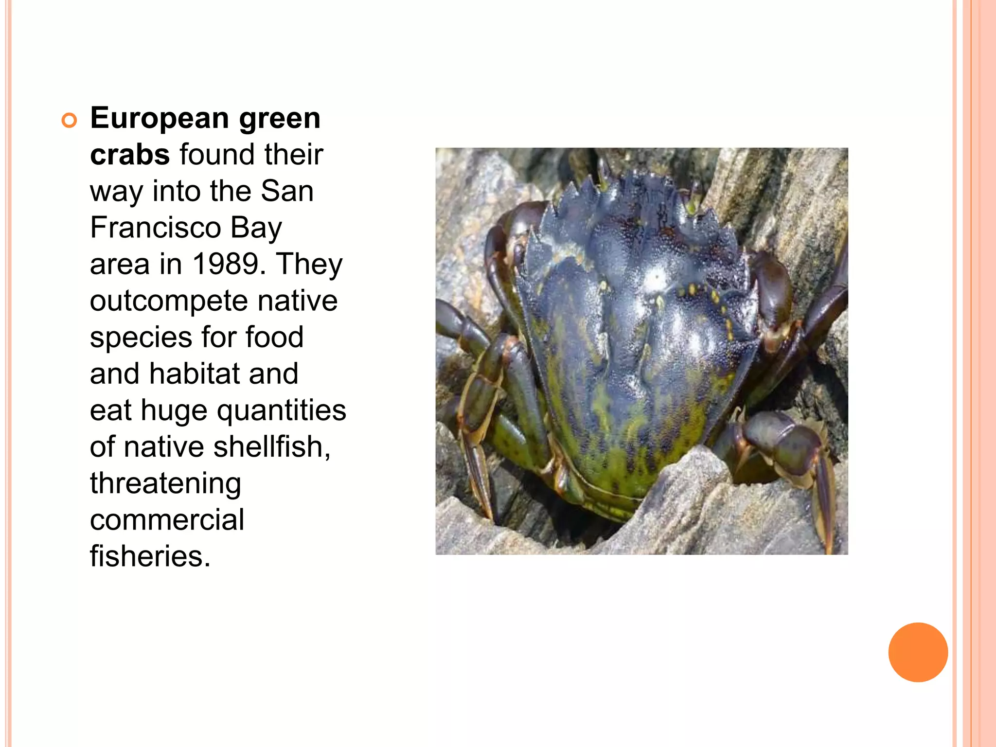 Biological Invasion - Ecology | PPTX