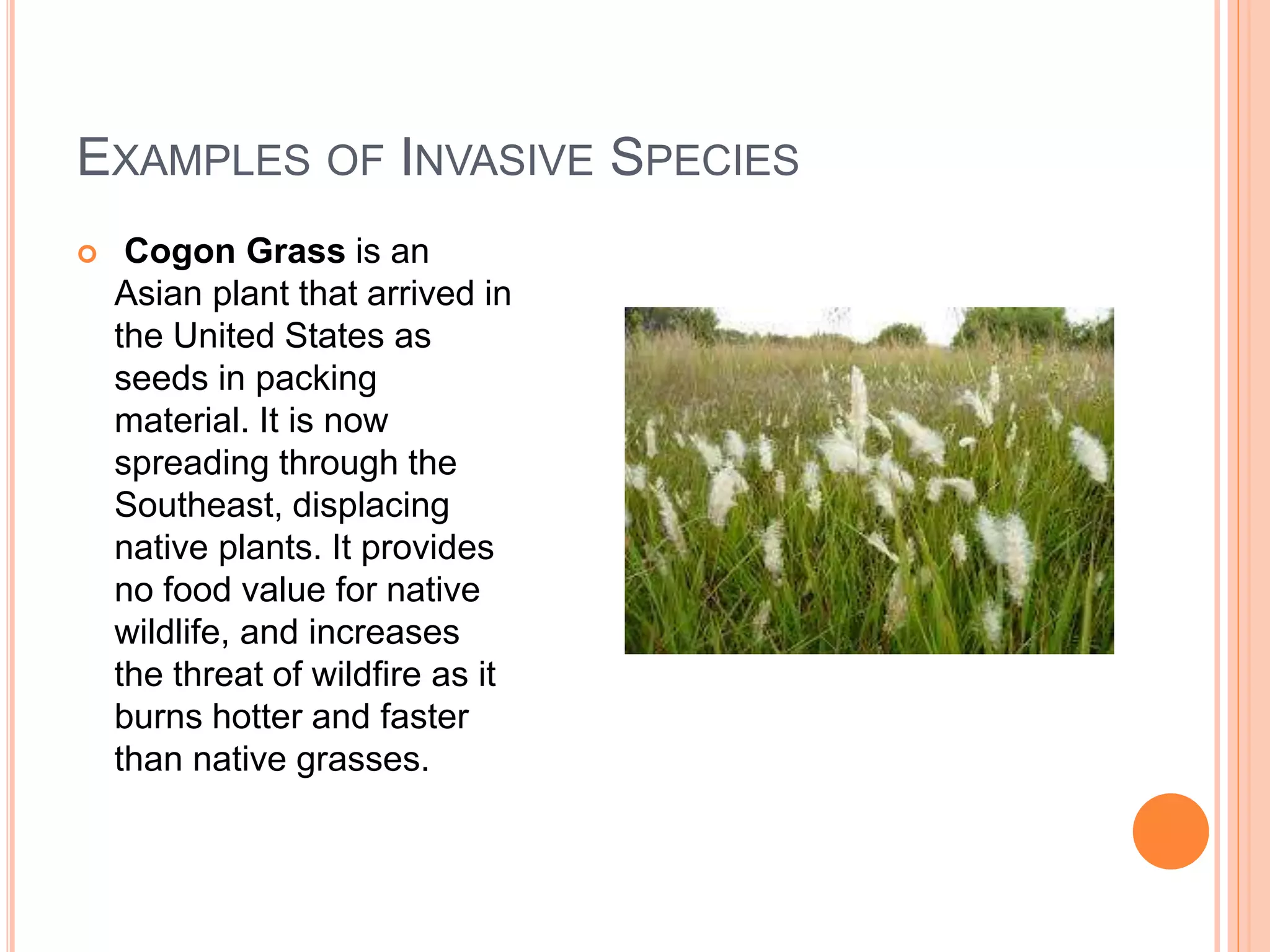 Biological Invasion - Ecology | PPTX