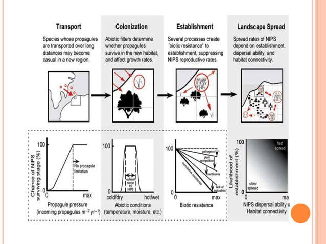 Biological Invasion - Ecology | PPTX