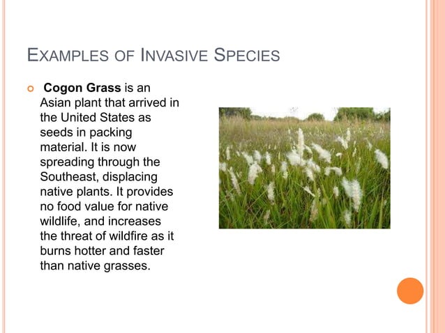 Biological Invasion - Ecology | PPTX