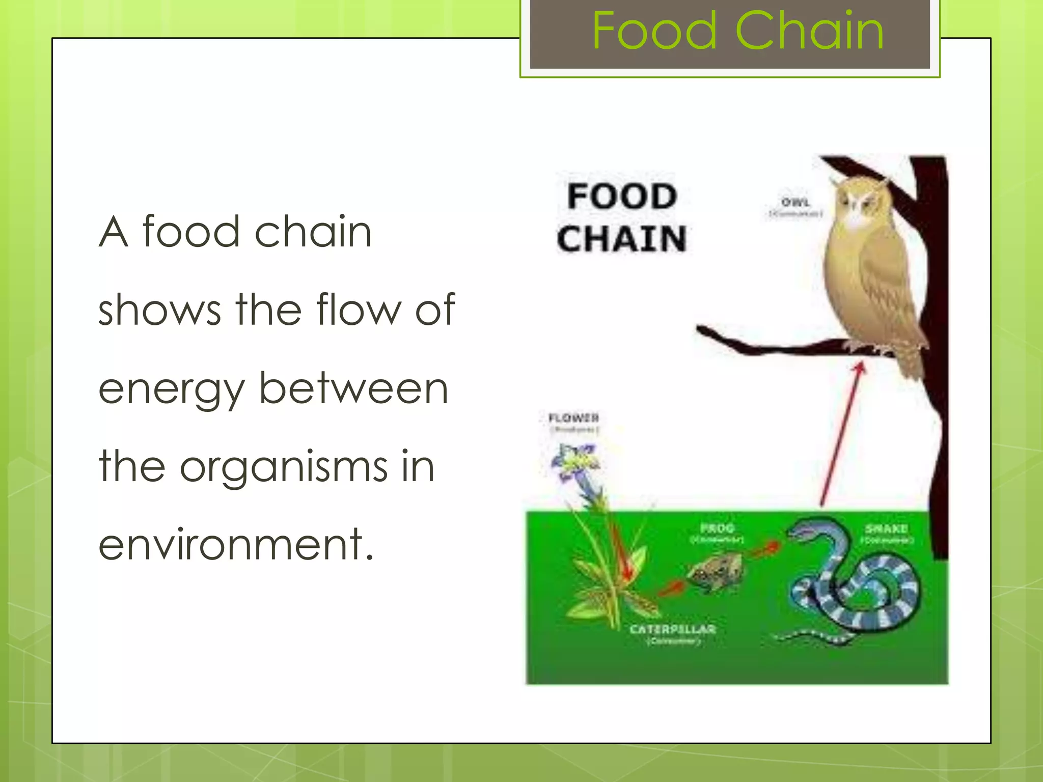 Ecology and environment | PPTX