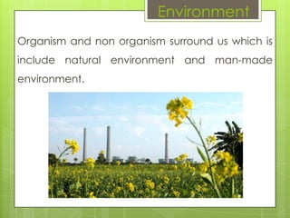 Ecology and environment | PPTX