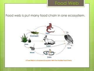 Ecology and environment | PPTX