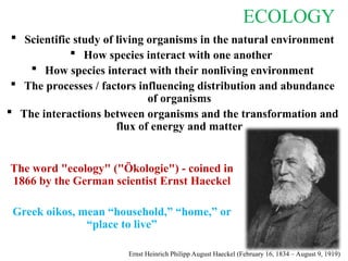 Ecology and Environment - Basic concepts.ppt