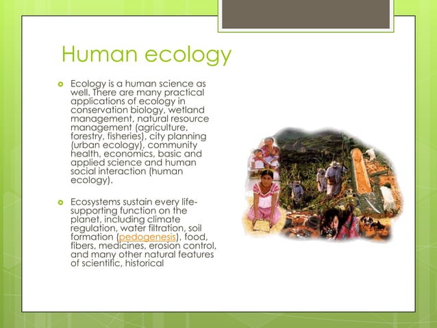 Ecology and human ecology | PPTX | Biological Sciences | Science